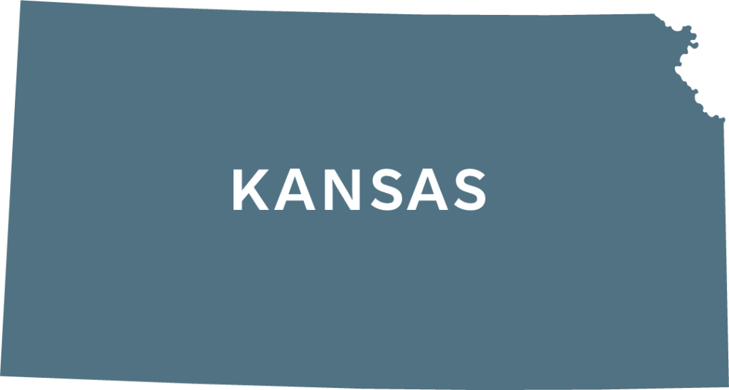 Behavioral Health Services Archives - DCCCA