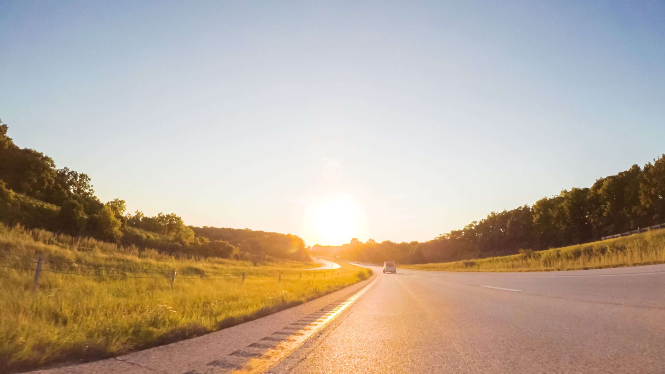 Seatbelt Surveys - DCCCA